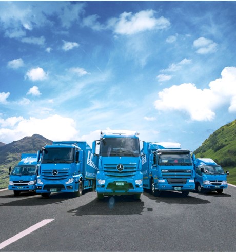 Domestic Transport Services